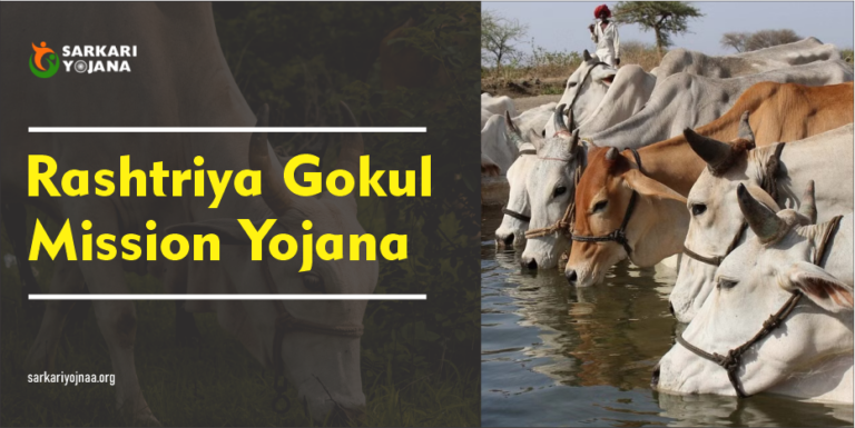 Self Employment and Talent Utilisation Scheme - SETU Scheme